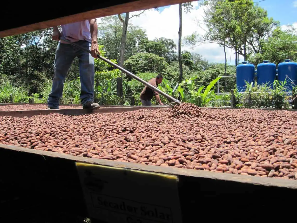 Sustainable Food Lab | Shifting Future Sustainability